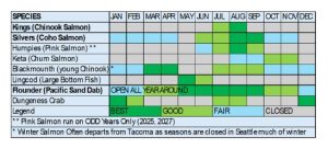 Seattle Fishing Seasons | Best Times for Salmon & Lingcod